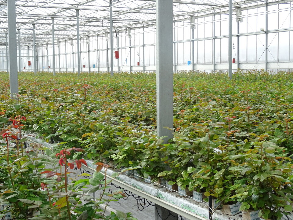 Autonomous Greenhouses Smart Micro Farming And Large Scale Production