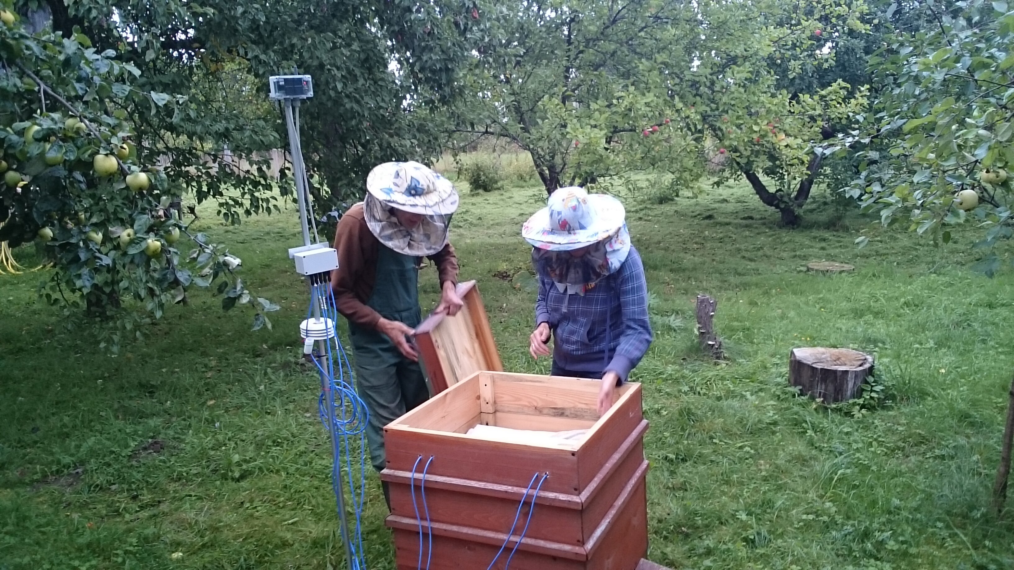 Bee Monitoring and Behaviour Prediction | SmartAgriHubs